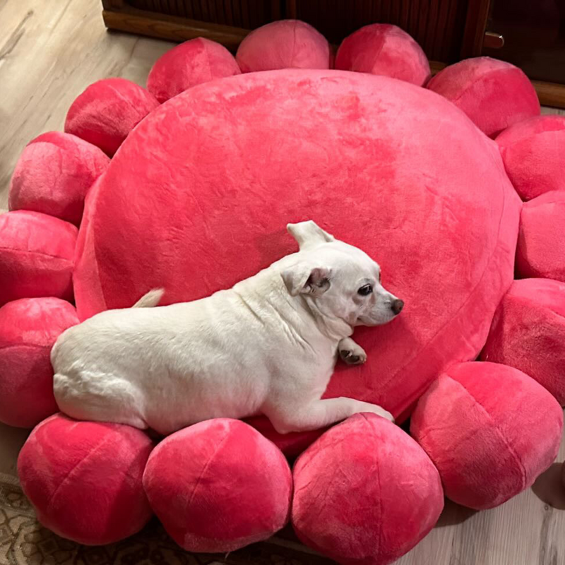 Bubble Dog Bed