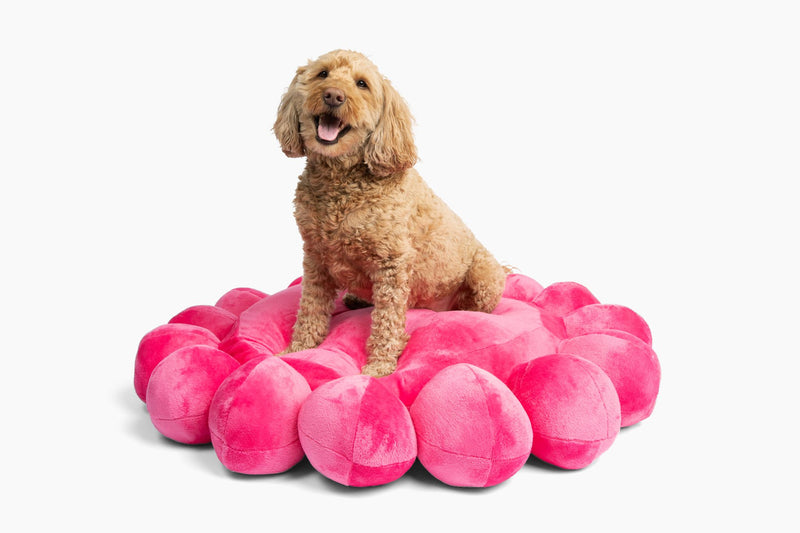 Bubble Dog Bed
